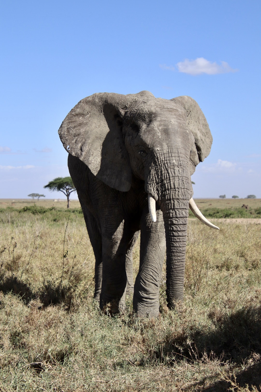 3 Days Safari - Miiso Safaris & Adventures